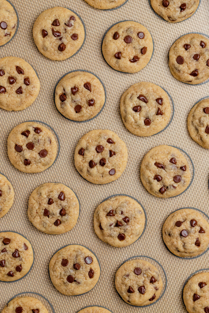 Mini Chocolate Chip Cookies - Simply Bake